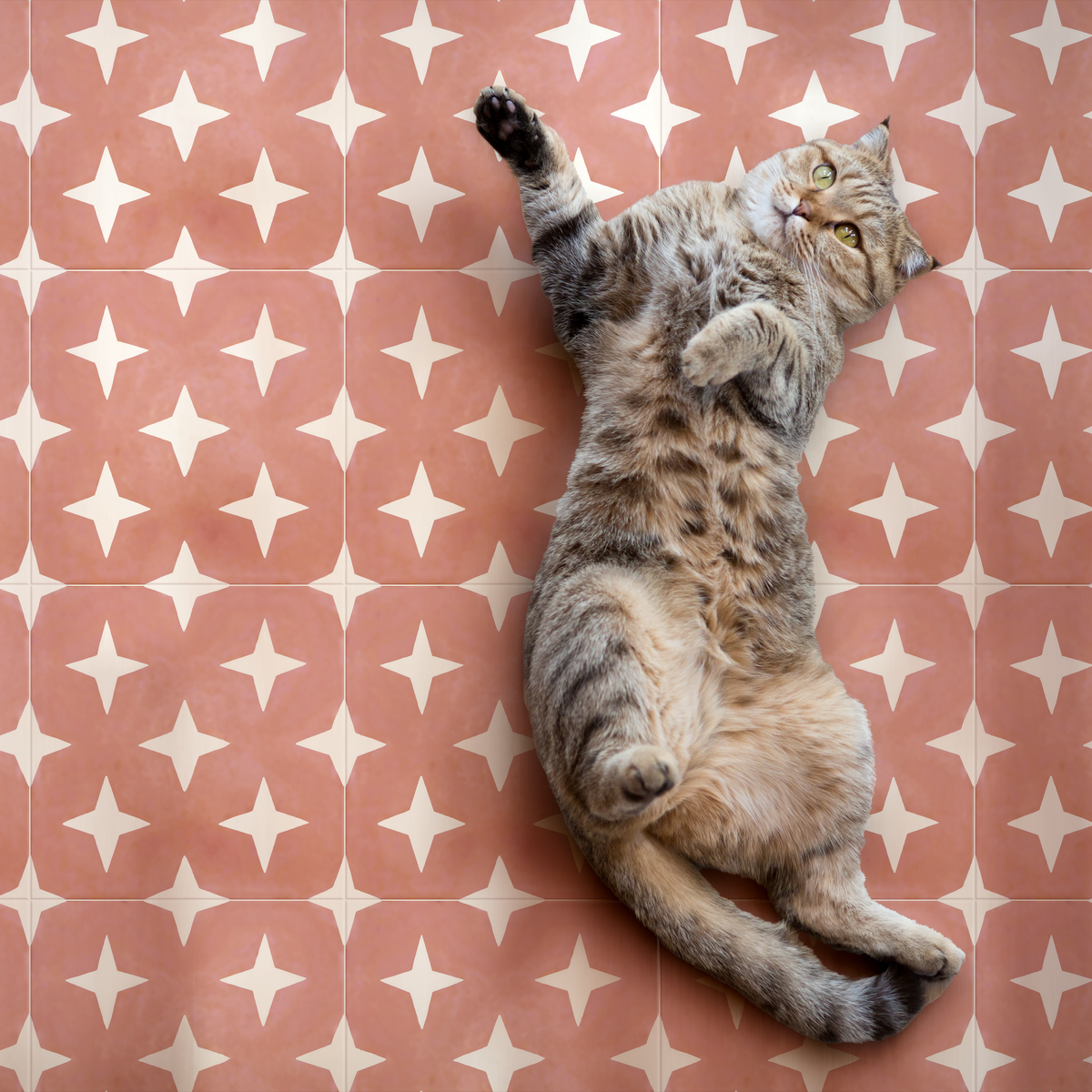 Santos | Rose Pink | Moroccan Tiles | Wall & Floor | 20cm x 20cm ...