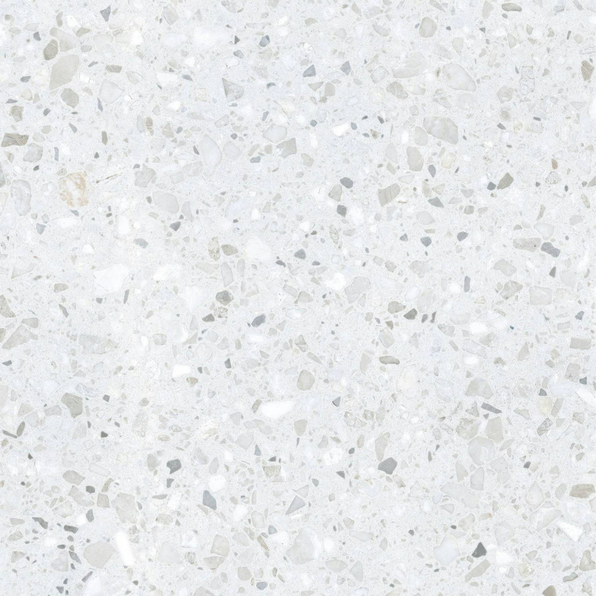 Confetti Terrazzo Square White Terrazzo 66cm x 66cm CUT TILE SAMPLE ...